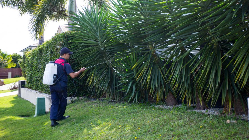 Mosquito Barrier: ANIKS Commercial Spraying Service