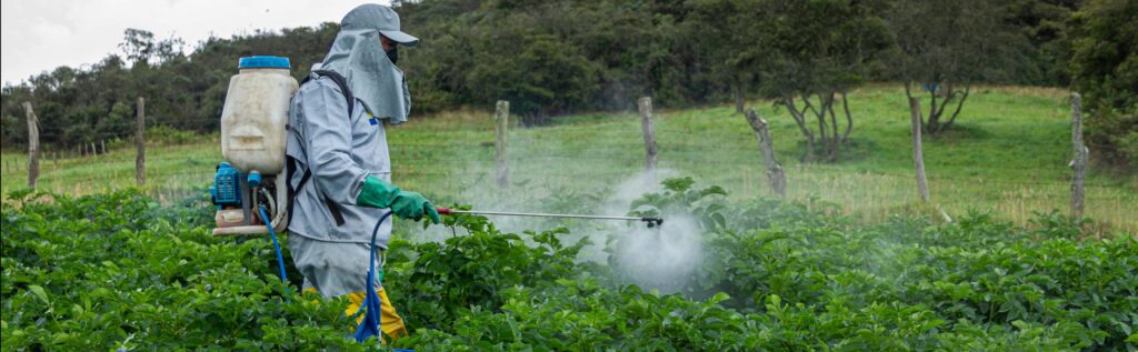 Mosquito Insecticides: 2 Types and 4 Chemical Families